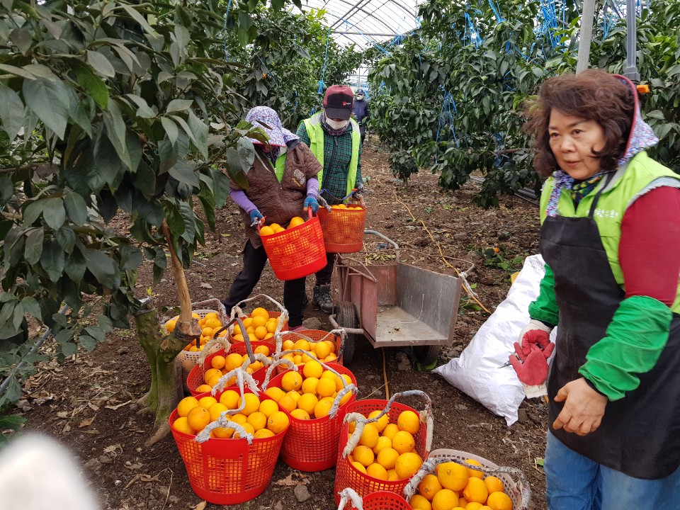 제주농업인력지원센터