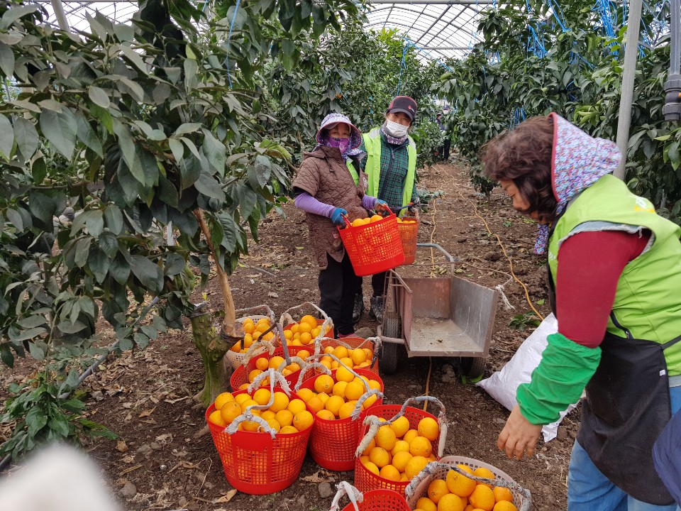 제주농업인력지원센터